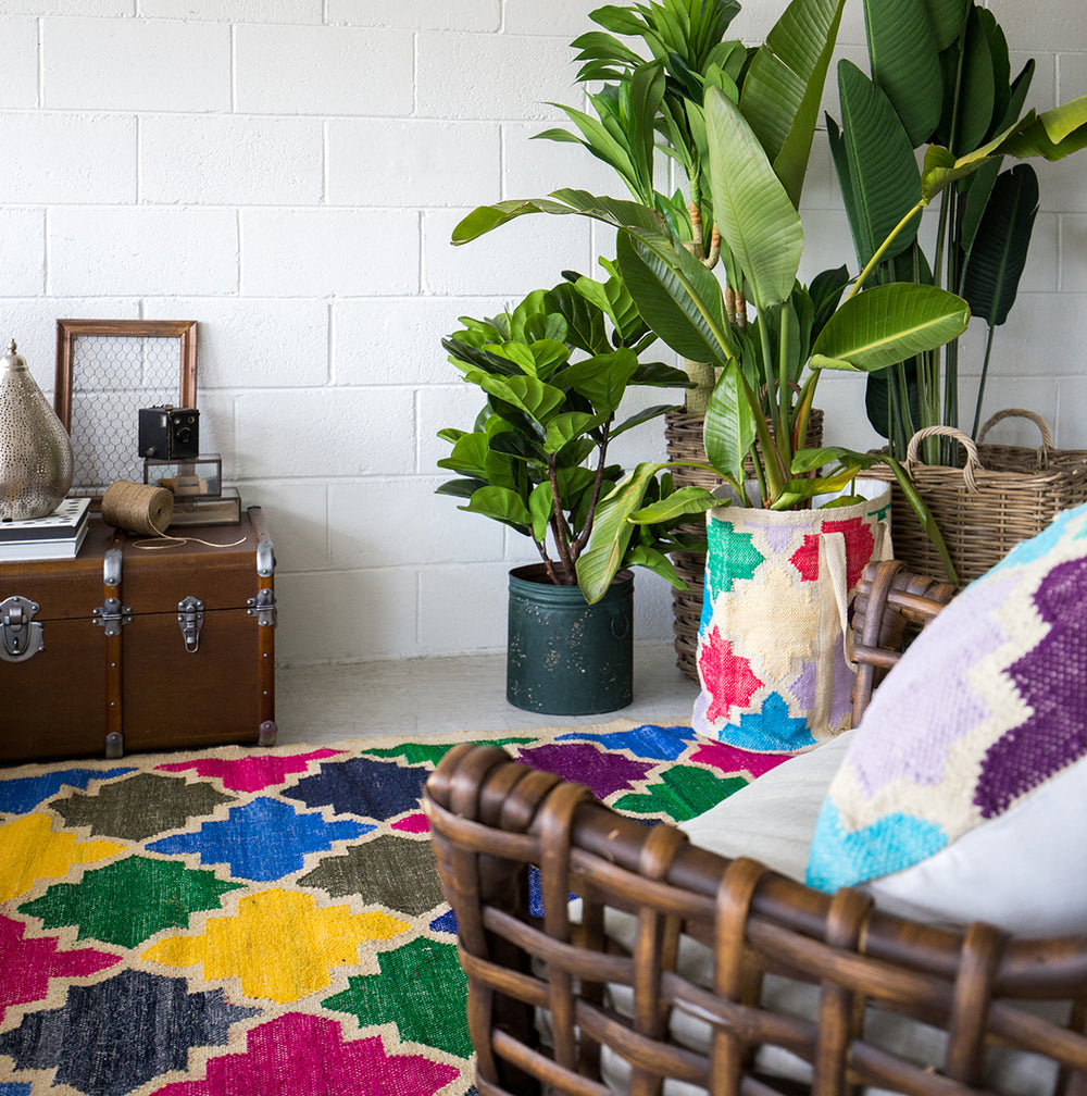 Rajika Rug - Sugarcane Trading Co